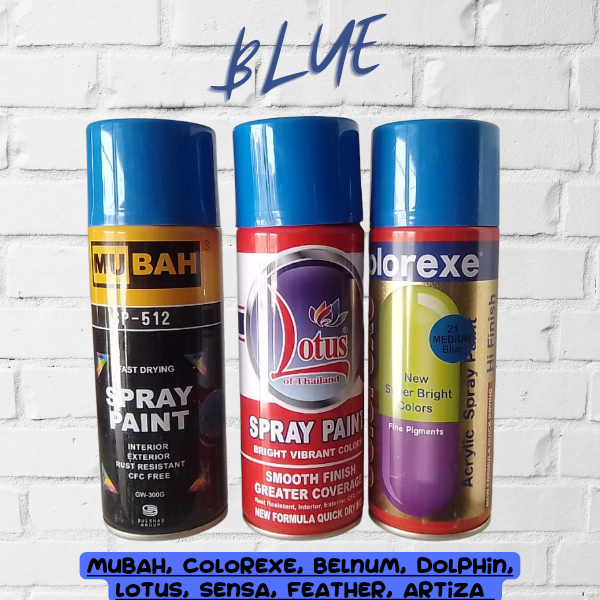 Spray Paint For Multi Purpose Use DIY Painting | Daraz.pk