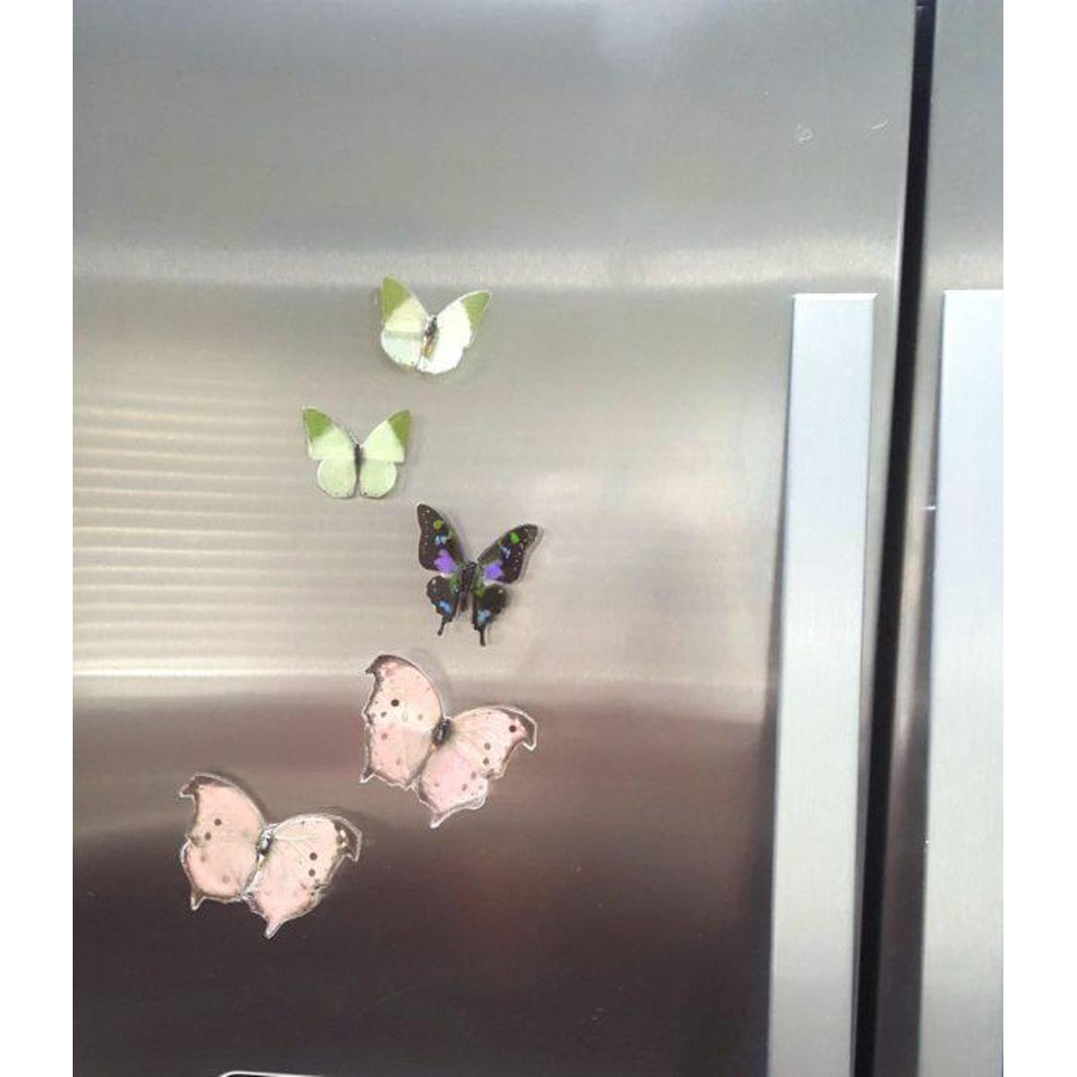 Korean Fridge Butterfly