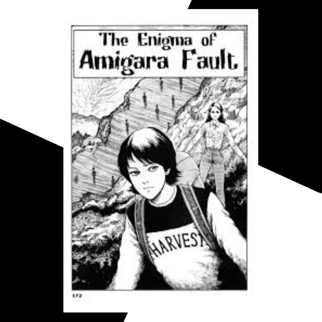 The Enigma of Amigara Fault | Daraz.pk