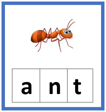 Three Letter Words Flashcards | Daraz.pk