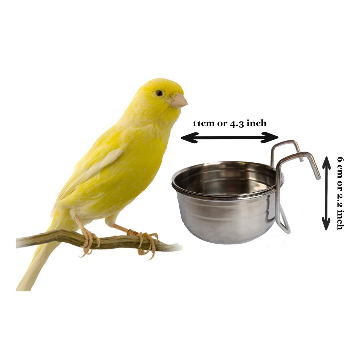 Feeding pot for parrots, hen, pigeon | stainless steel pot | Daraz.pk