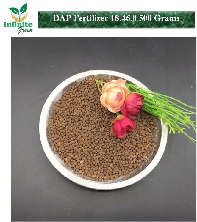 DAP Fertilizer NPK 18.46.0 for kitchen gardening 500 gram | Daraz.pk