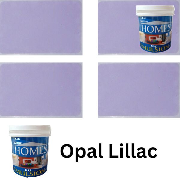 Good quality, Homes Emulsion paint colors for Walls, paint for walls ...