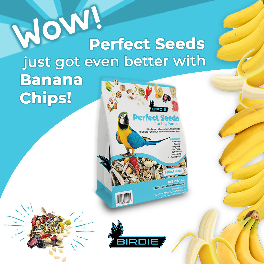 Premium Seed Mix For Big Parrots (Birdie) (Parrot Food) (Bird food ...