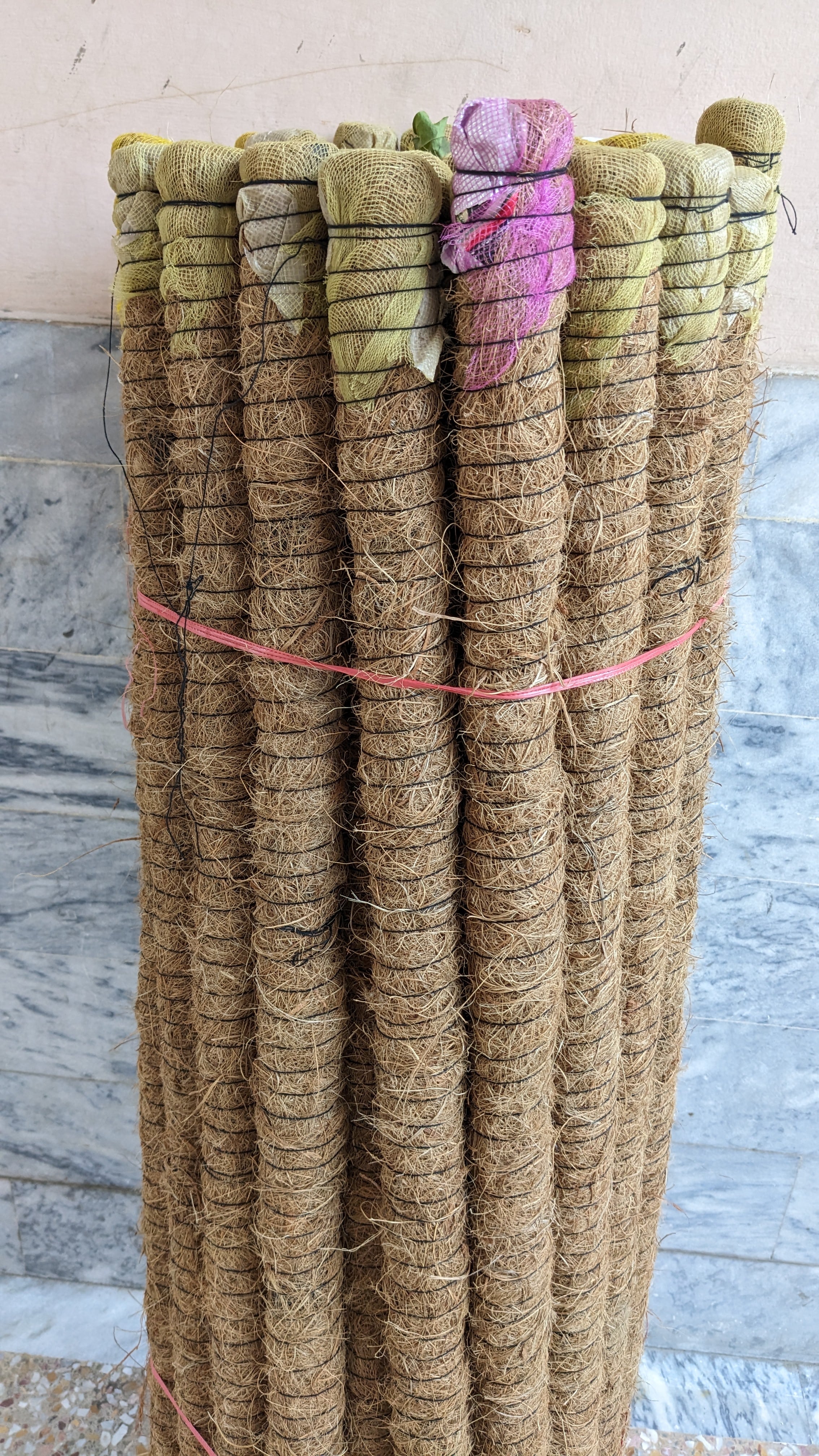 Coconut moss stick 50inch for plants pack of 1,2,3,4,5,6,10 | Daraz.pk