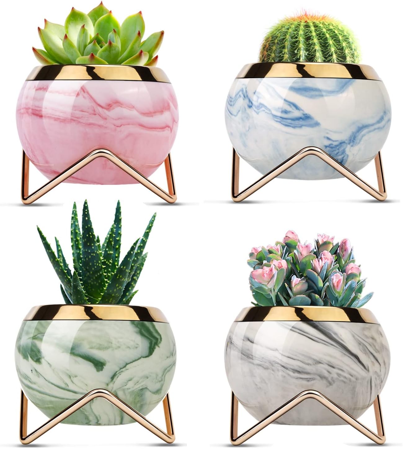 Cute Ceramic Succulent Pots, Unique Garden Pots with Drainage and ...