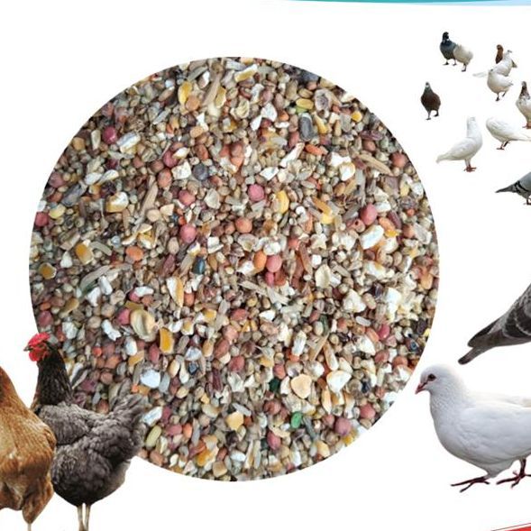 Hen Feed For Pigeon - 5 KG | Daraz.pk