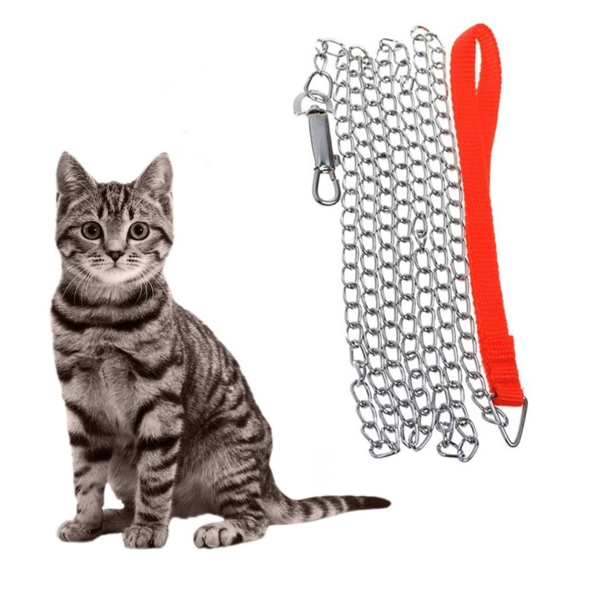 Cat Walking Chain Lead 4feet | Daraz.pk