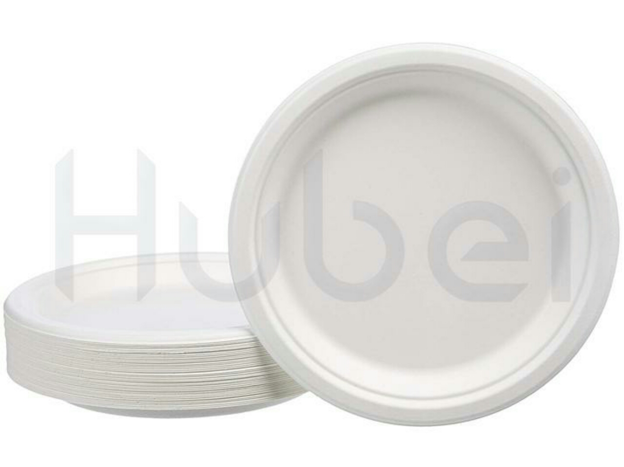 disposable foam plates (peck of 100) LARGE | Daraz.pk