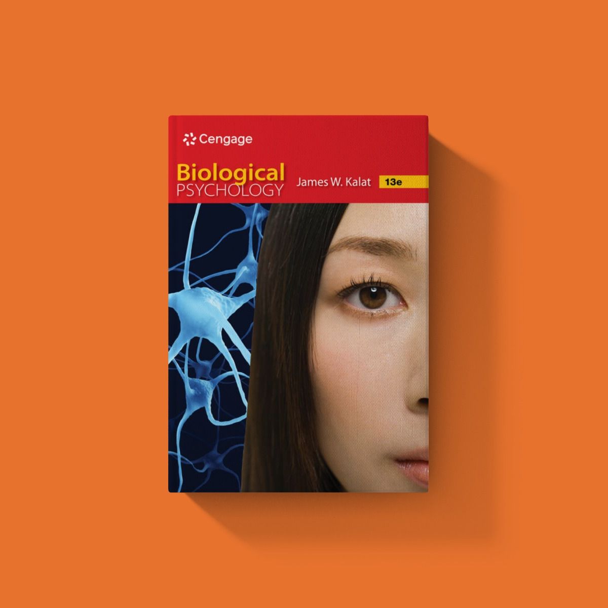 Biological Psychology Textbook