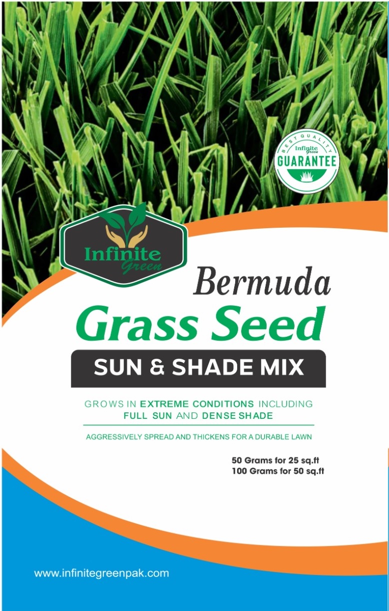 Lawn Grass Seeds (Bermuda Grass) imported seeds from Netherlands 50 ...