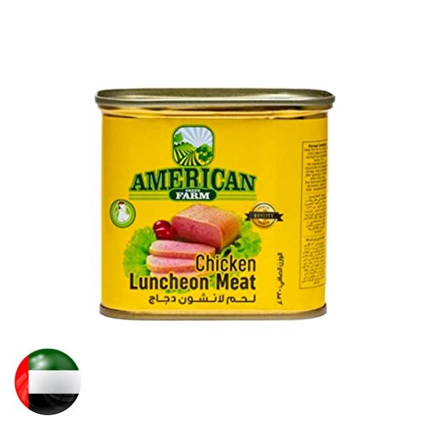 American Fresh Chicken Luncheon Meat-320g | Daraz.pk