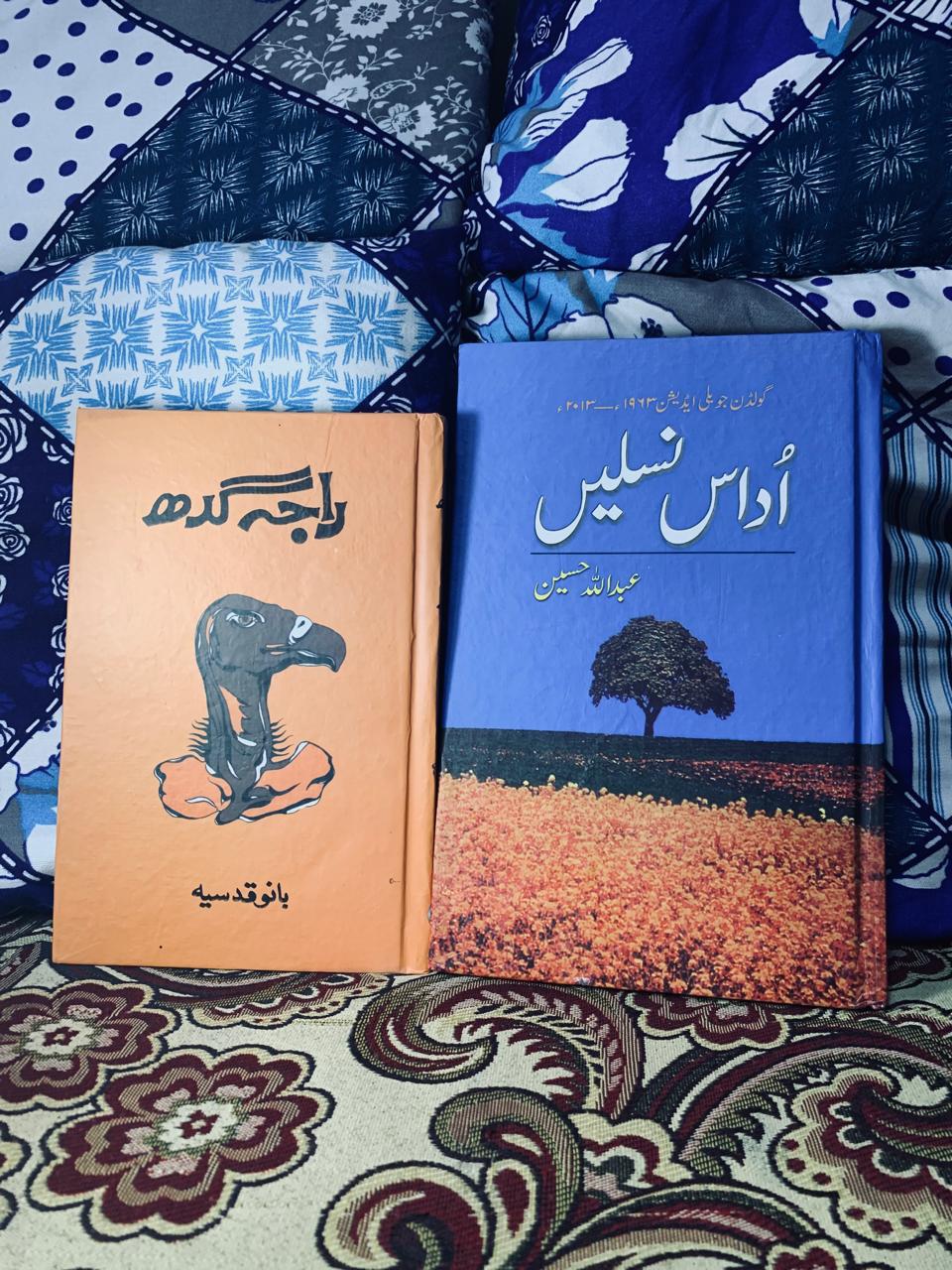 PACK OF TWO BOOKS RAJA GIDH BY BANO QUDSIYA AND UDAAS NASLAIN BY ...