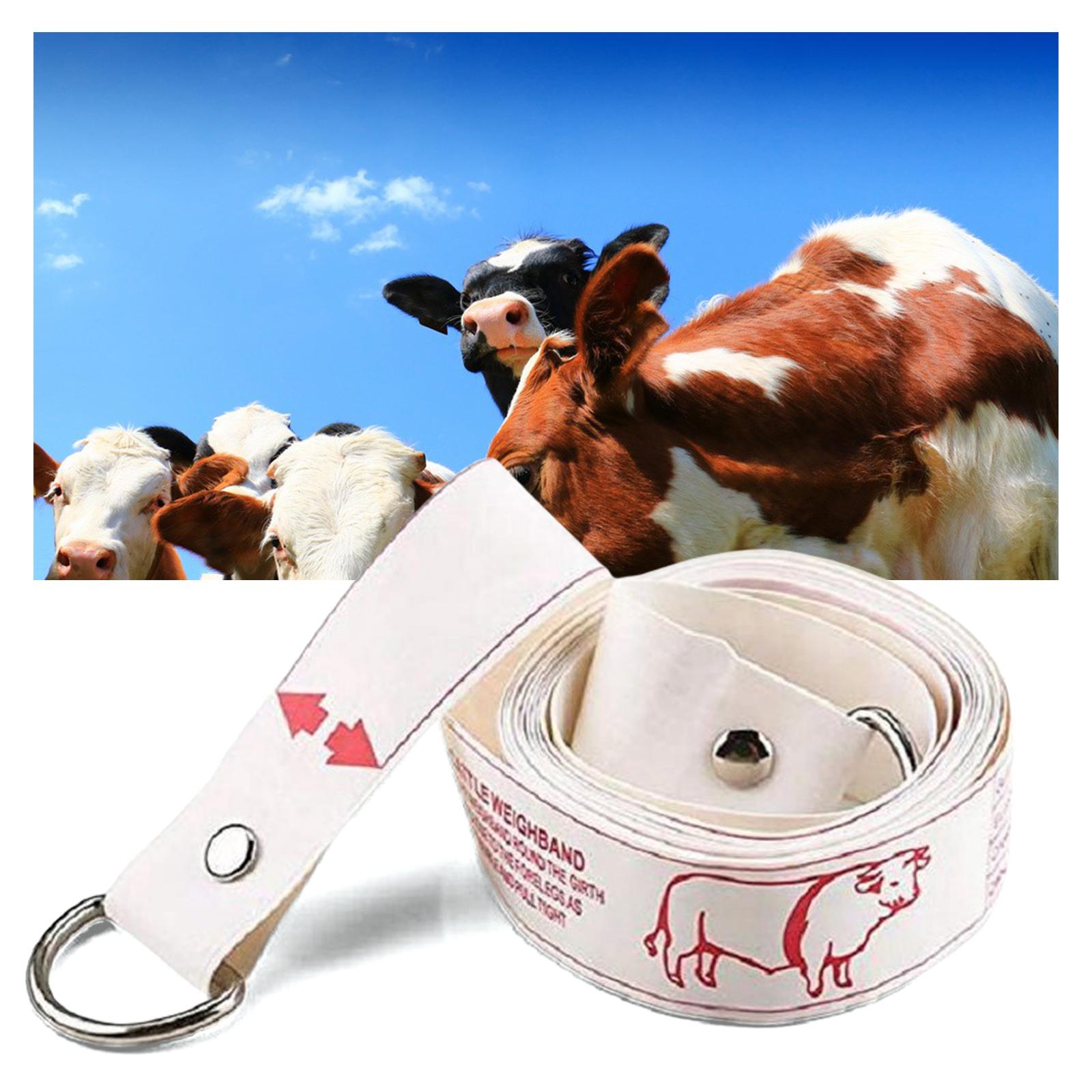 2.2M Cattle Tape Measure Body Measuring Bust Weight Contrast Weigh ...