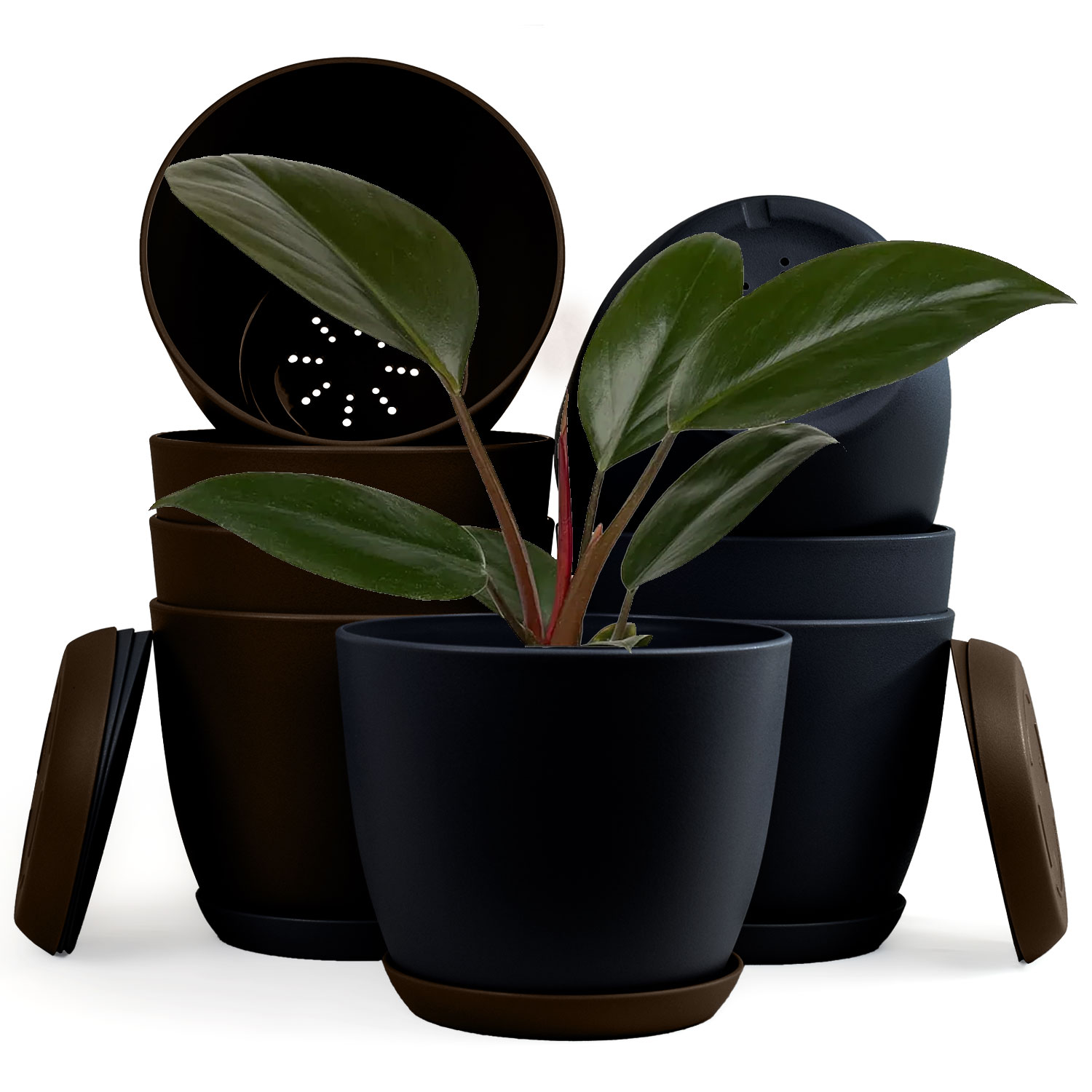 Fast Forward Extra Large Plant Pots with Drainage: Two Vibrant Colors ...
