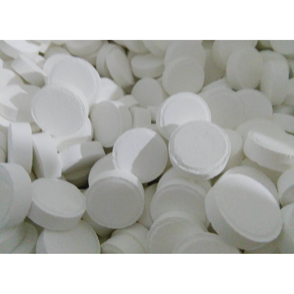 Chlorine tablets Pack of 10 (one tablet for 1500 liter of water) for ...