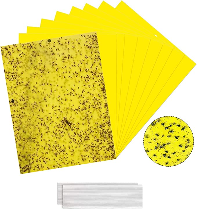 Insect Board Catcher Sticky Board Yellow Sticky Fly Traps,yellow Sticky ...