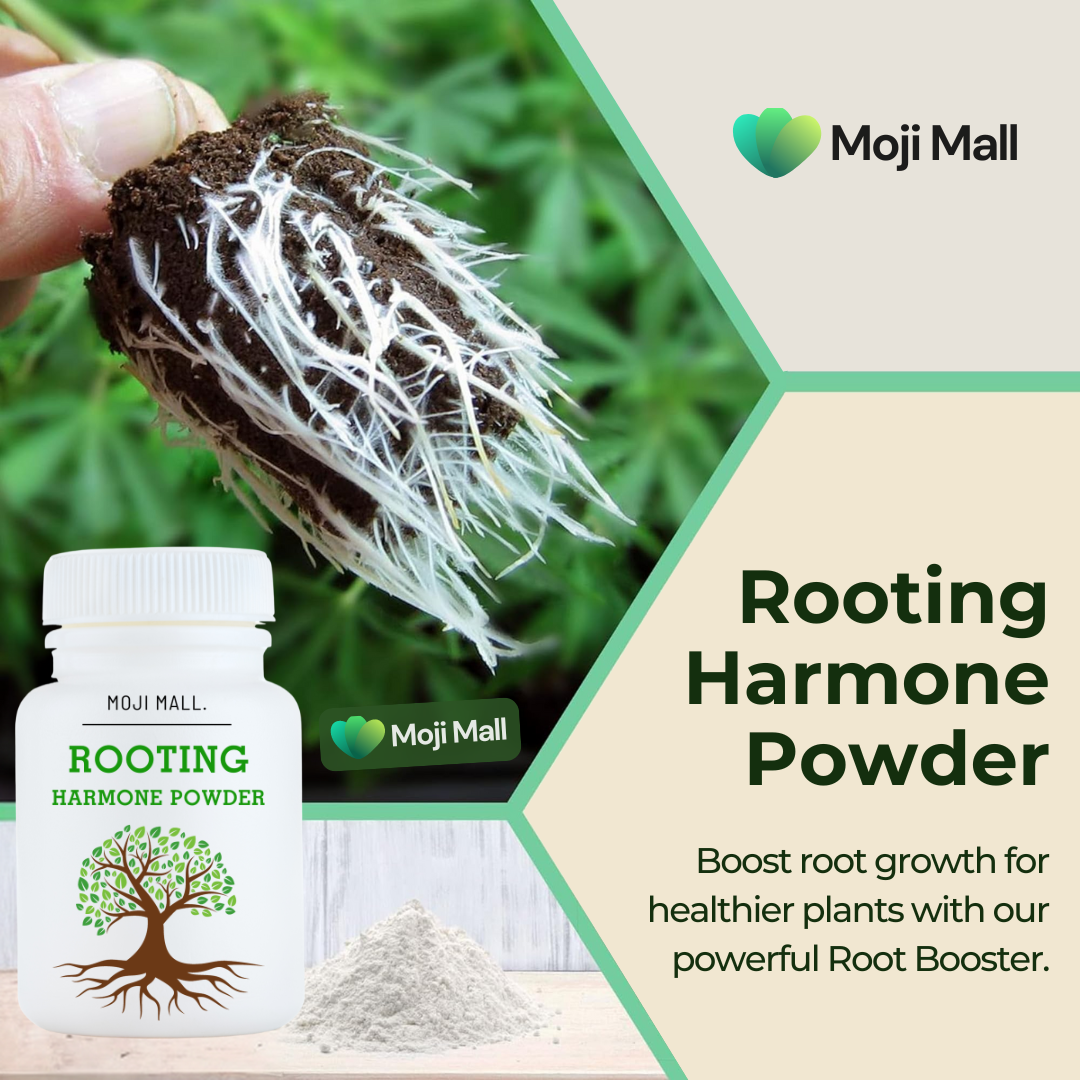 Rooting Hormone Powder for Plants - Rooting Hormone for Cuttings ...