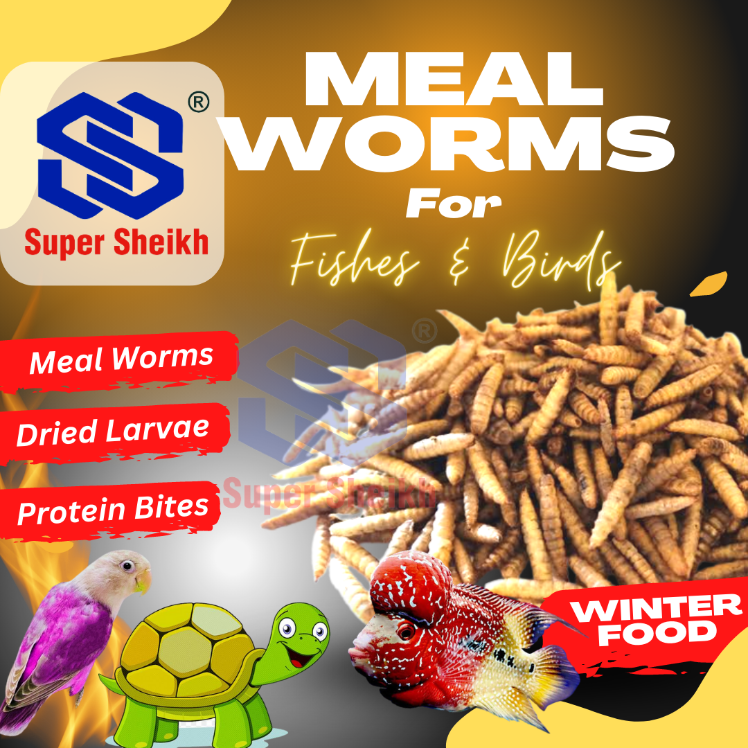 Bsf (Dried Larvae) 500 Grams Meal Worms - Protein Bites - black soldier ...