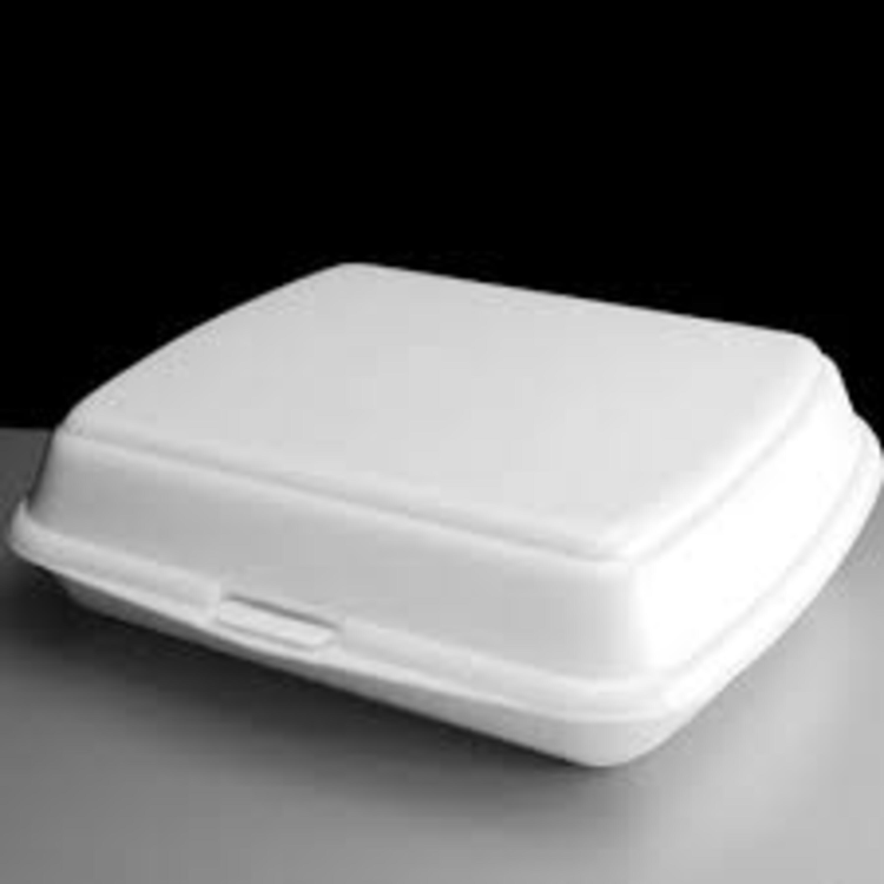 Disposable Foam Box Container Snack/Biryani/Food - Large - Pack of 20 ...