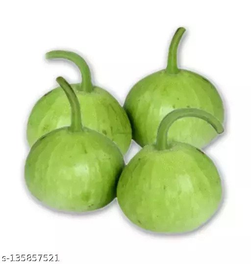 Round Gourd F1 Hybrid (کدوگول / Gool Kadu) Summer Vegetable Seeds ...