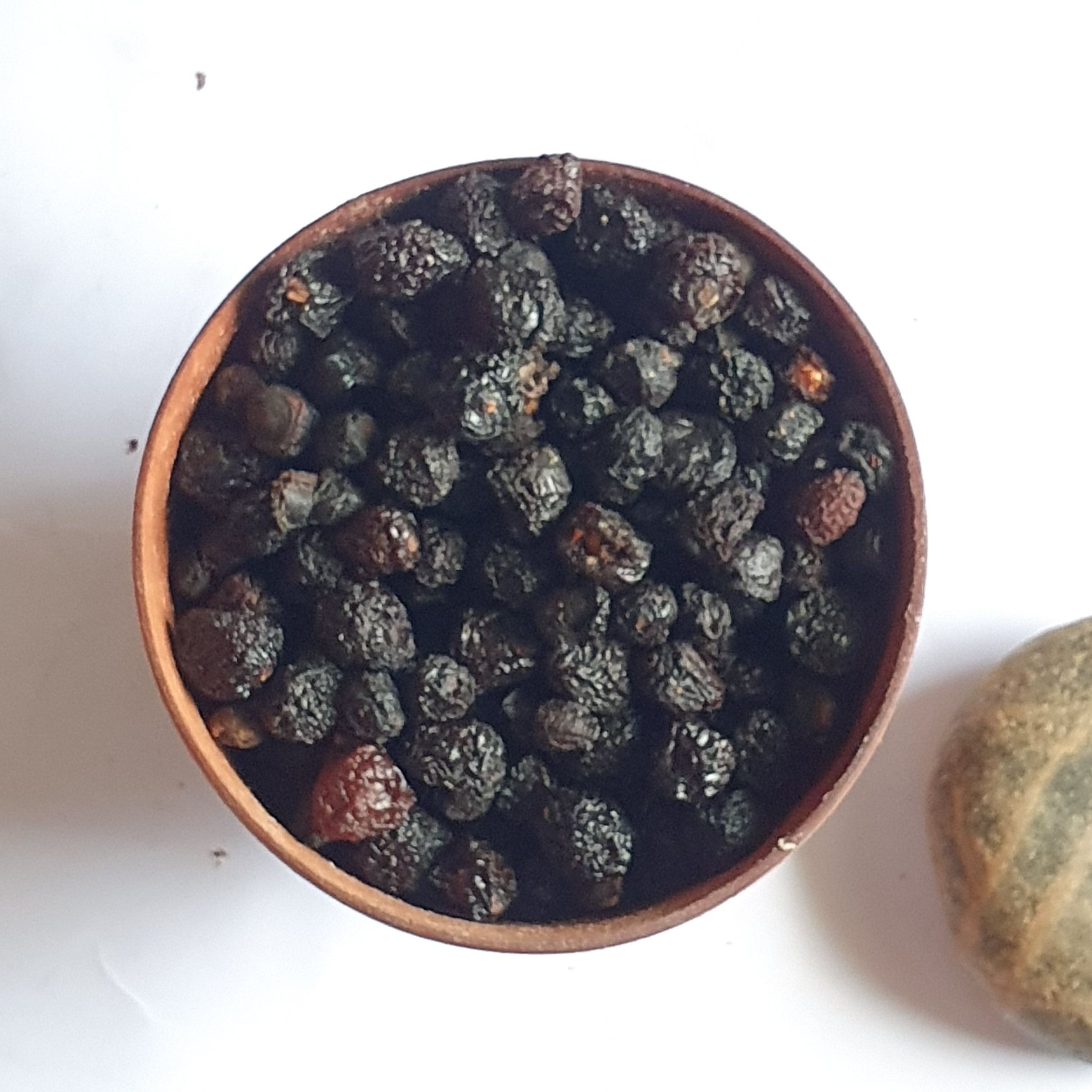 Dry Organic Cherry from Gilgit - Sweet & Nutritious (250g, 500g, 1000g ...