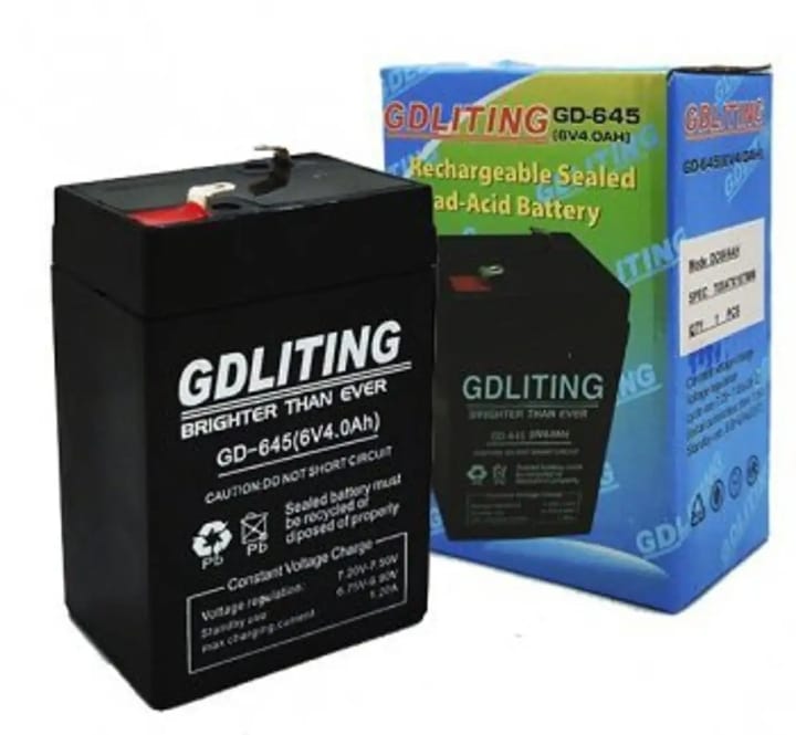 GDLITING GD-645 6V 4.0AH Rechargeable Sealed Lead /Acid Battery | Daraz.pk