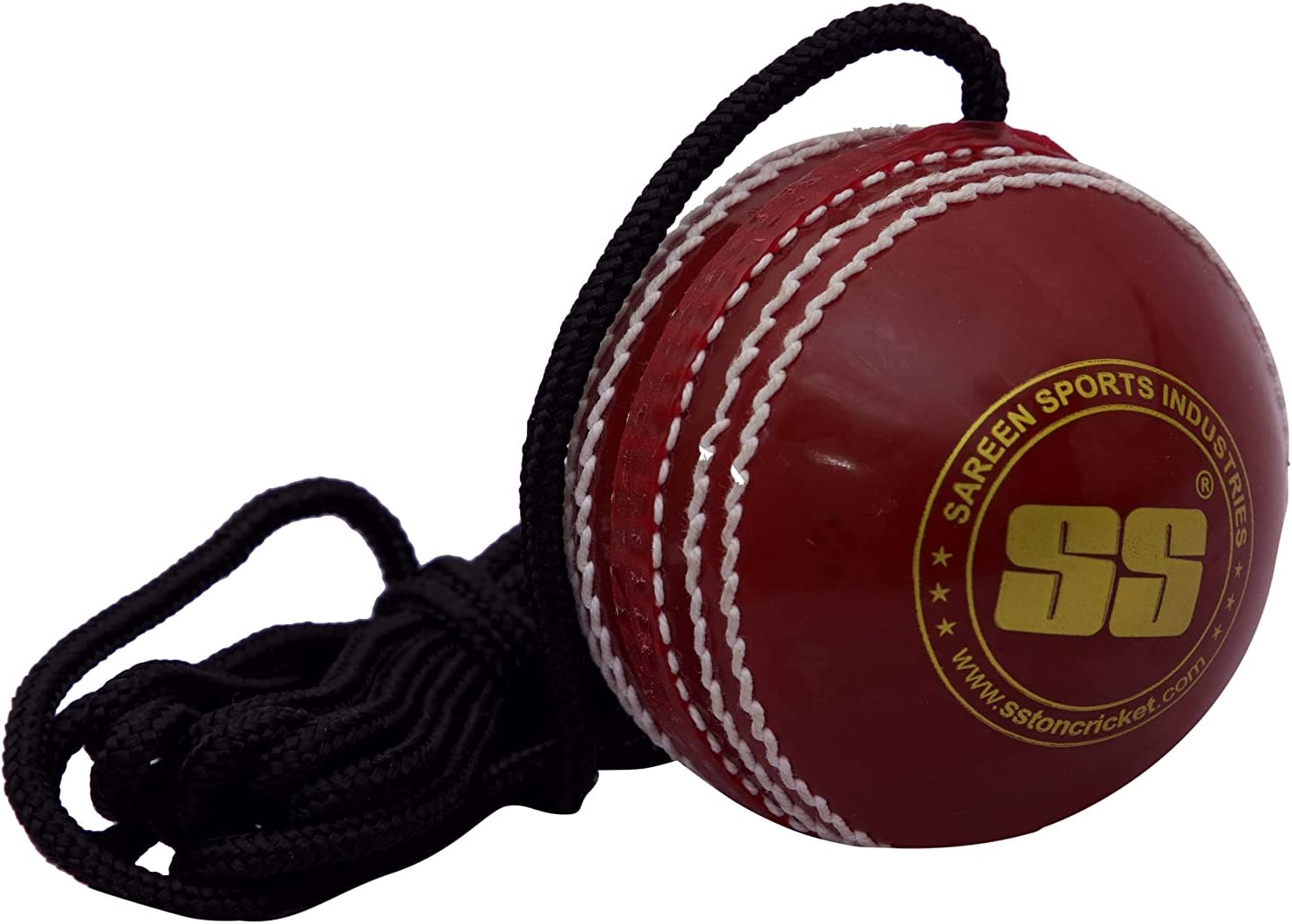 Cricket Hanging Hard Ball for Bat Stroke Training Balls for Cricket ...
