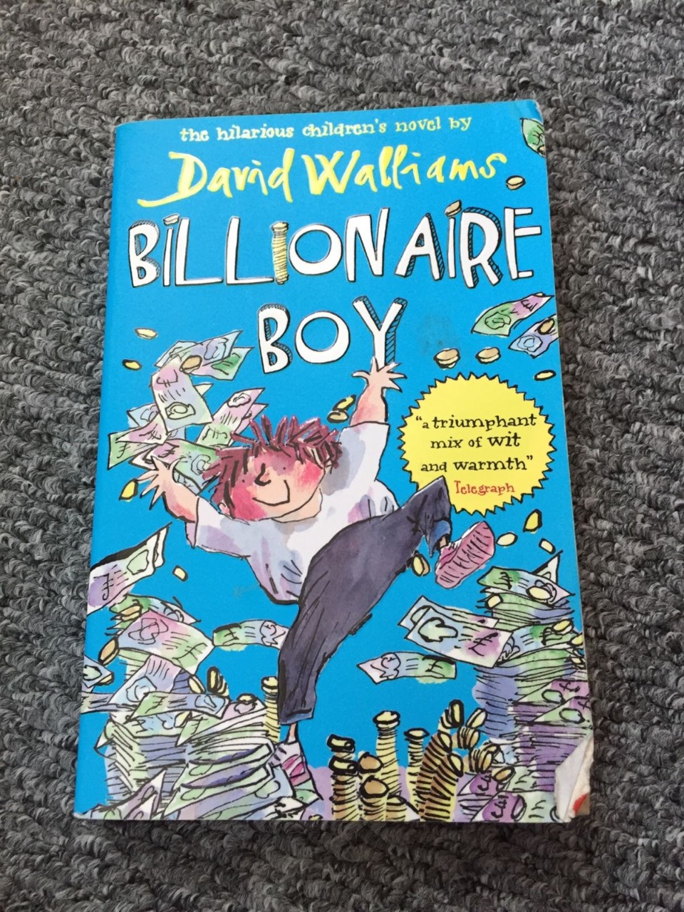 Billionaire Boy By David Walliams | Daraz.pk