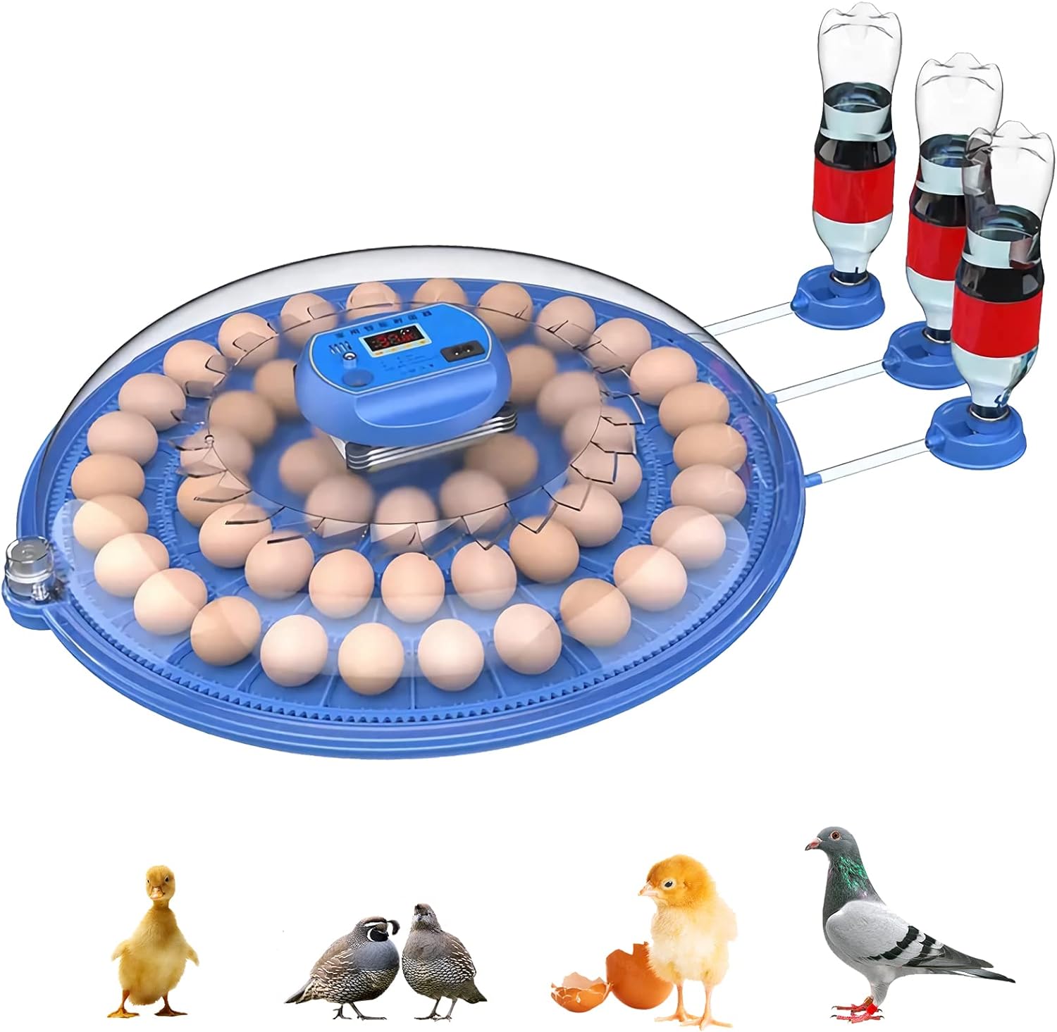 52 Eggs Intelligent Incubator Full Automatic AC/DC with Auto water ...