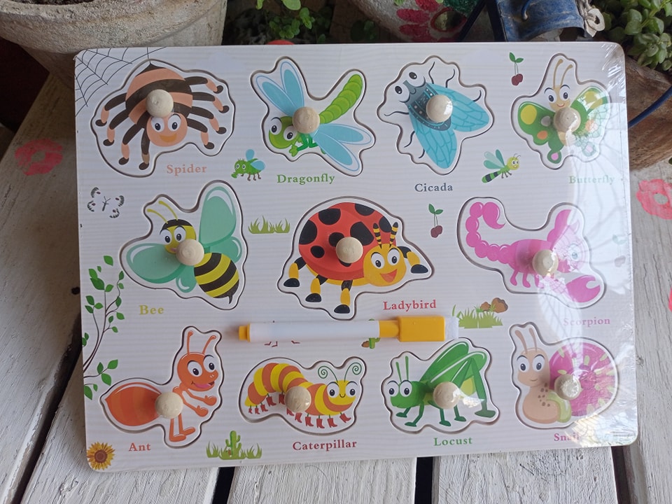 Double Sided 2in1 Wooden Peg Puzzles for Toddlers with Marker | Daraz.pk
