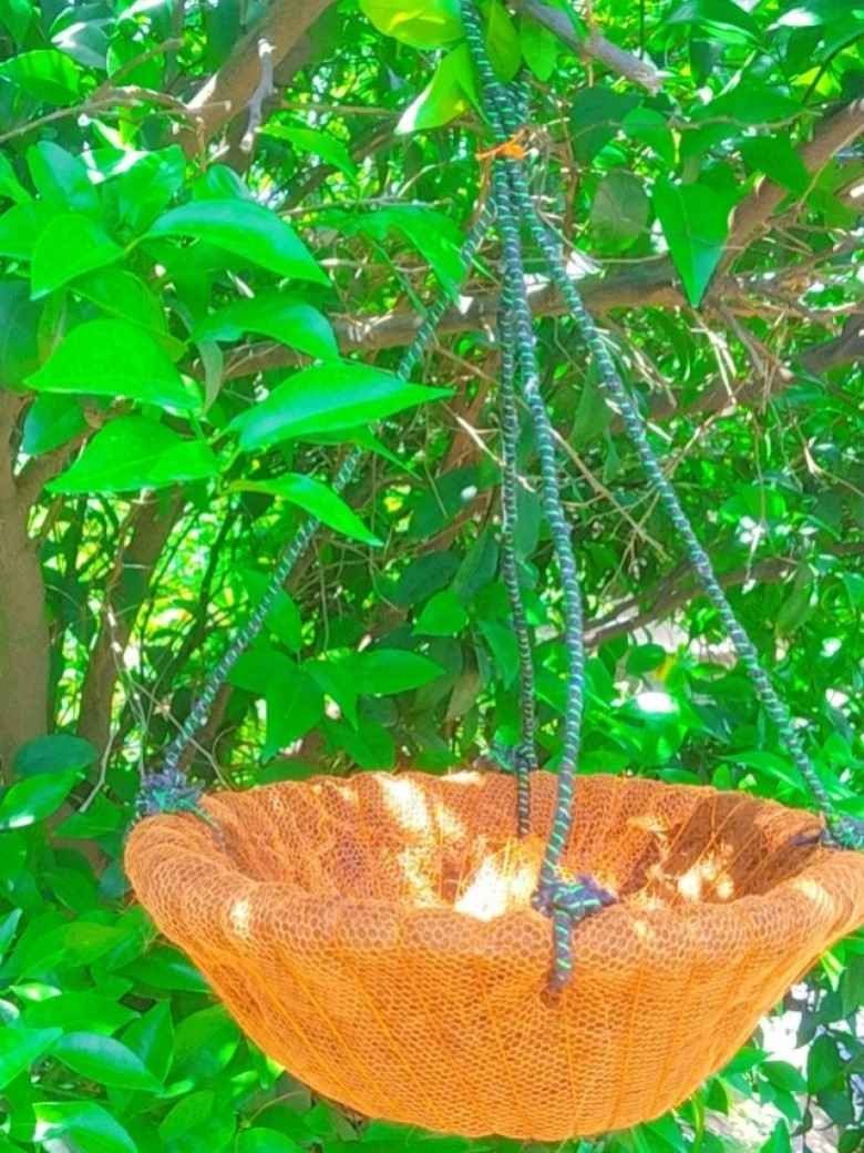Coconut Basket Wall Hanging Pot - Haning Coir Basket (Coconut Husk ...