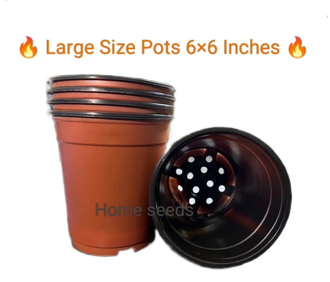 Pack of 6 large Flower Pots - Pots size 8×8inches - Pots For Seedling ...