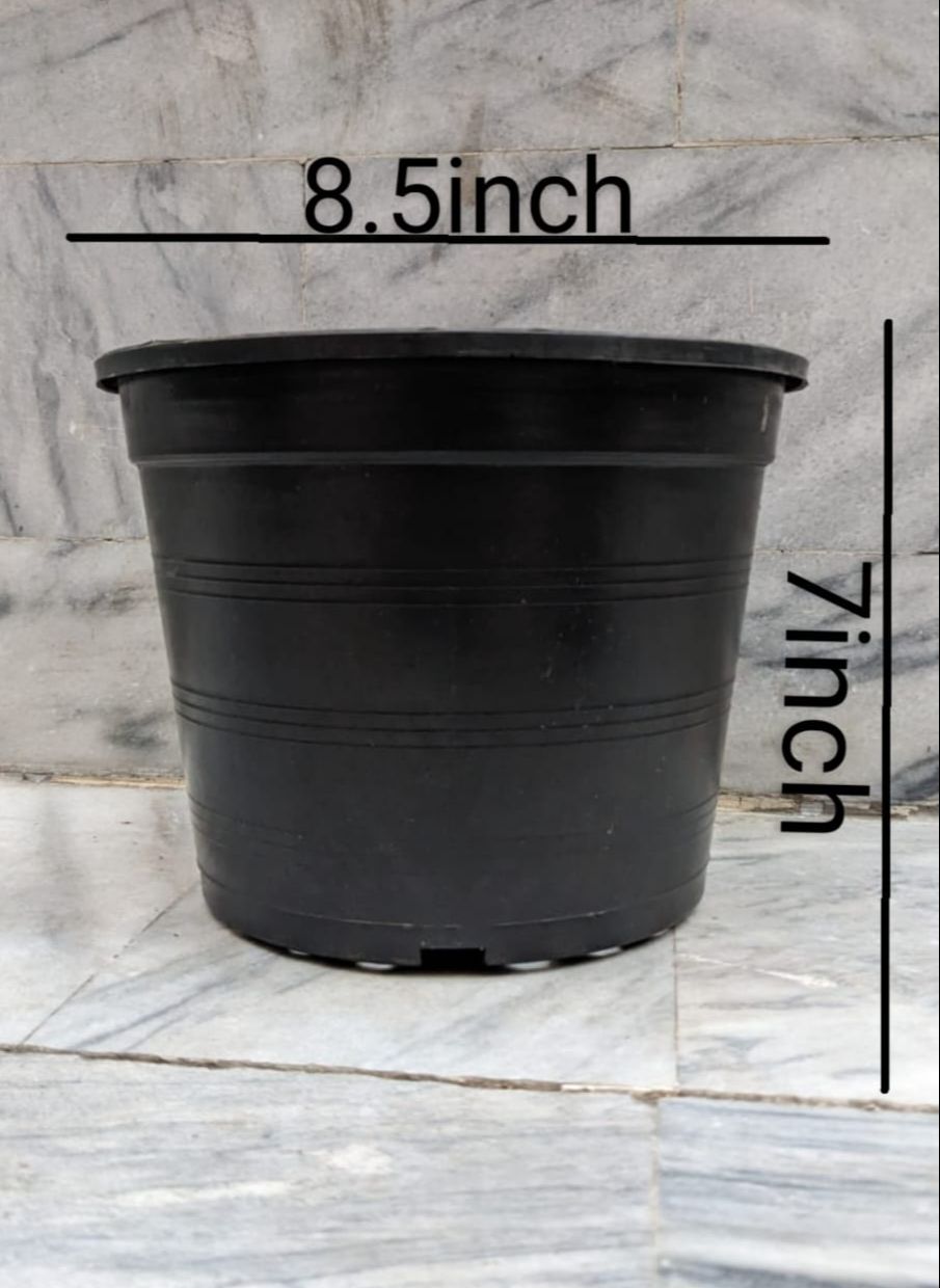 Plastic Pot 8.5inch Plants and Flowers - Pack of 2,4,6,8,10 | Daraz.pk