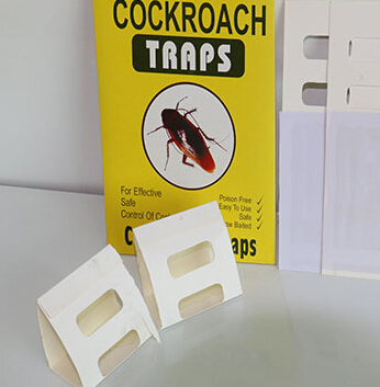Cockroach Glue Trap - 6 Count, Ready to Use Indoors. Spider Scorpion ...