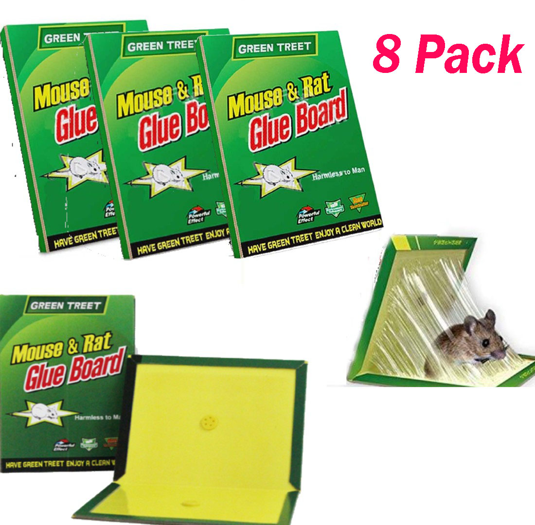Super Mouse Trap Glue Sheet Rat killer - Strong - Easy to Set - Indoor ...