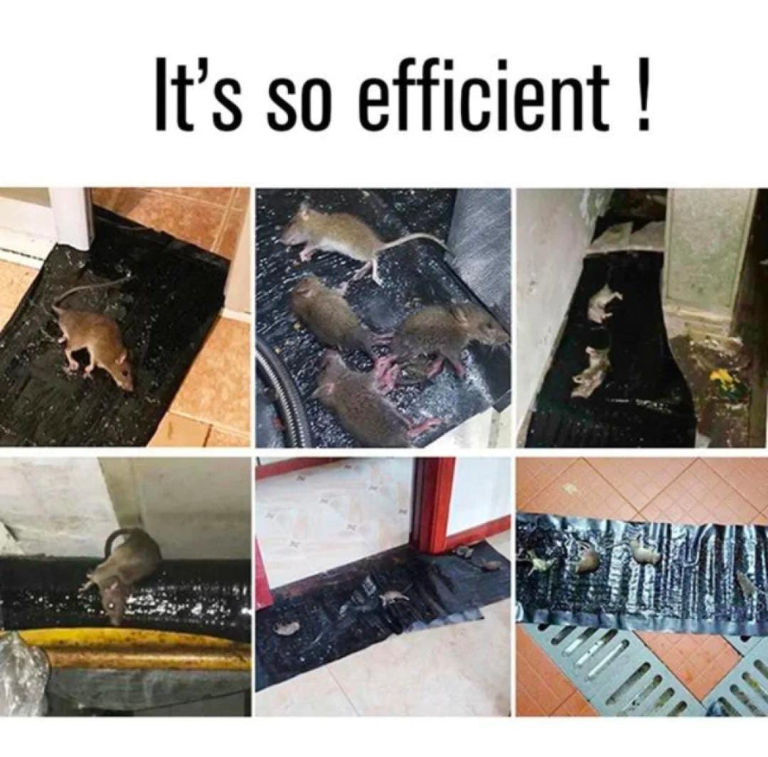 120x28cm ] Effective Rat Killer Glue Mat, Lizards, Snakes & Cockroach ...