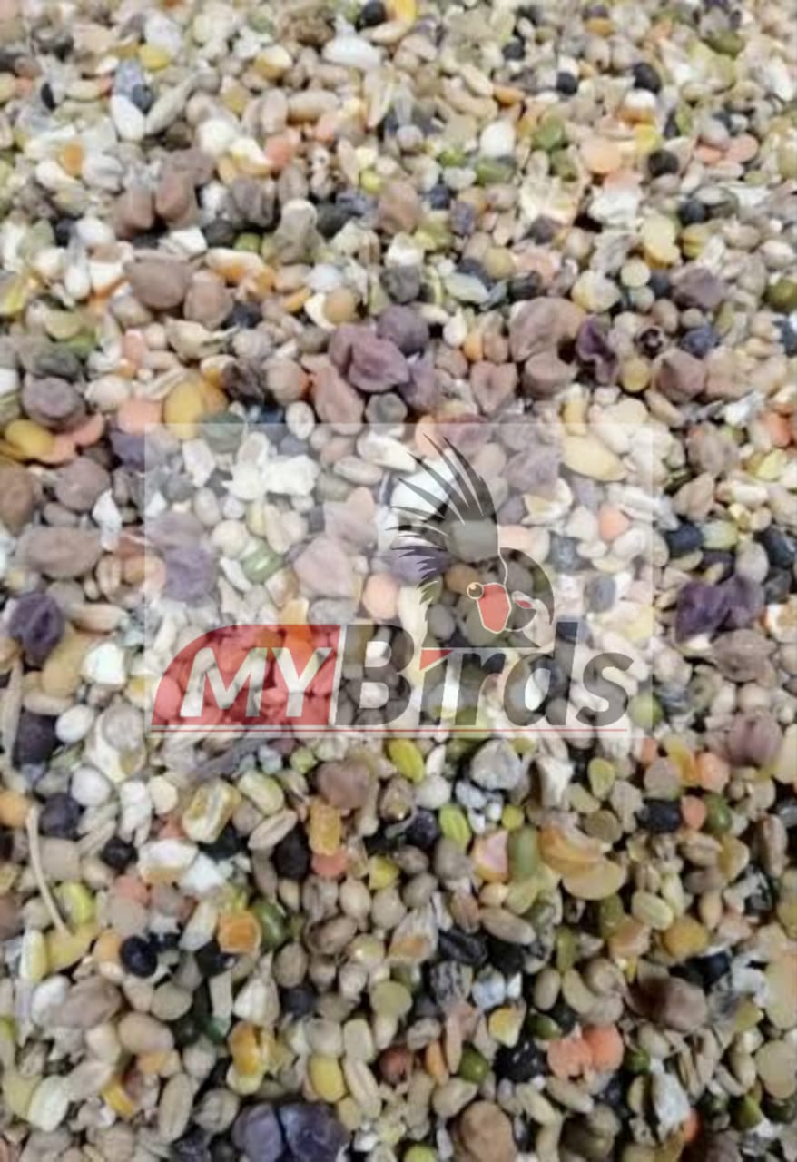 (Pack of 3kg) Chicken Feed Murghi Dana, Dal Dana, Mix Dana Food/Feed ...