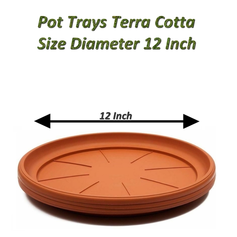 Pack Of 3 Plant Pot Trays / Round Plant Saucer Drip Terra Cotta High ...