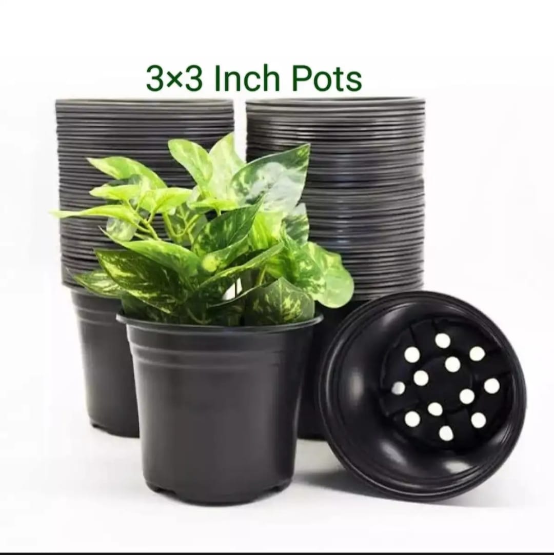 Pack of 24 plastic flowering pots small 3×3 Inches - Pots for seedling ...