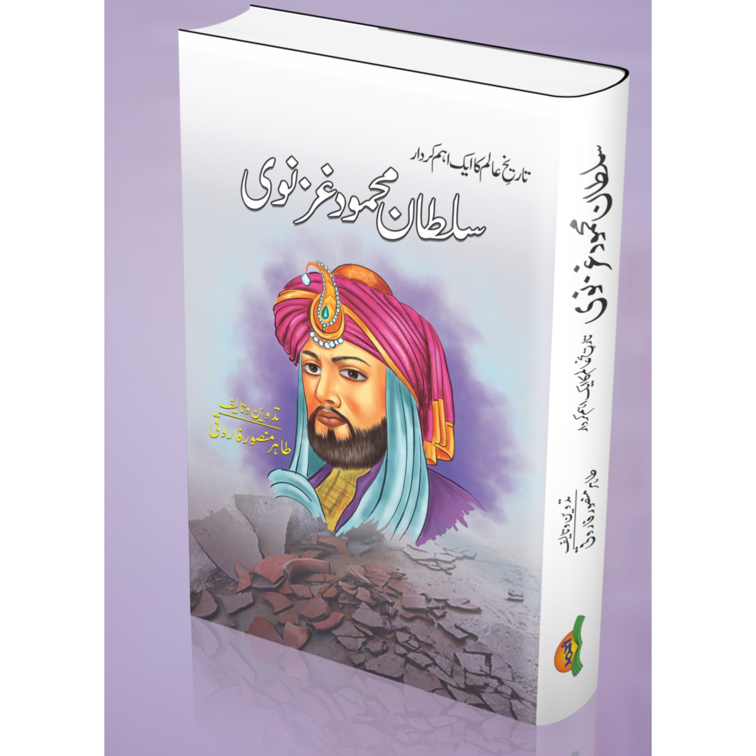 Sultan Mehmood Ghaznavi History Book | Daraz.pk
