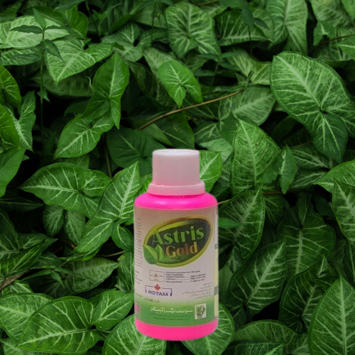 Garden Pest Killer/ Astris Gold 20sc 100ml For Fall Army Worm/ Worm ...