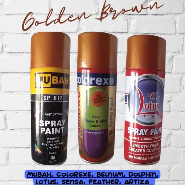 Spray Paint For Multi Purpose Use DIY Painting | Daraz.pk