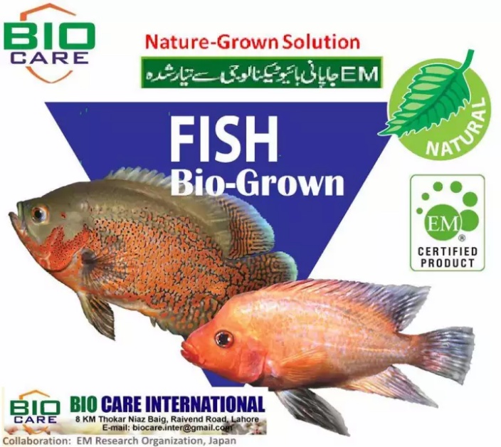 Fish Bio Grown | Daraz.pk: Buy Online at Best Prices in Pakistan | Daraz.pk