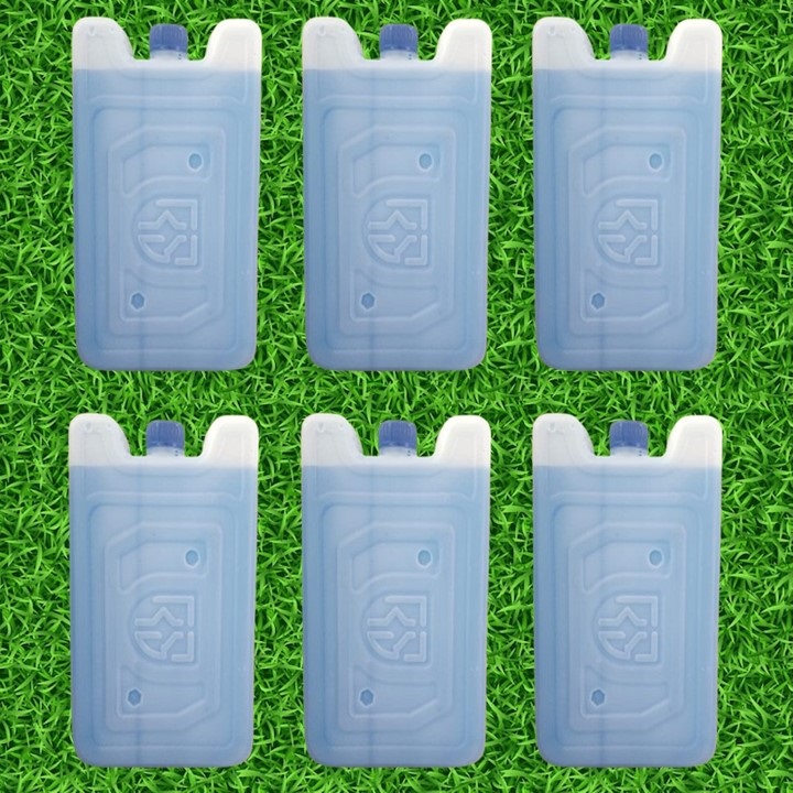Pack of 6 Gel bottle Ice pack bottle for ice box air coolers, ac cooler ...