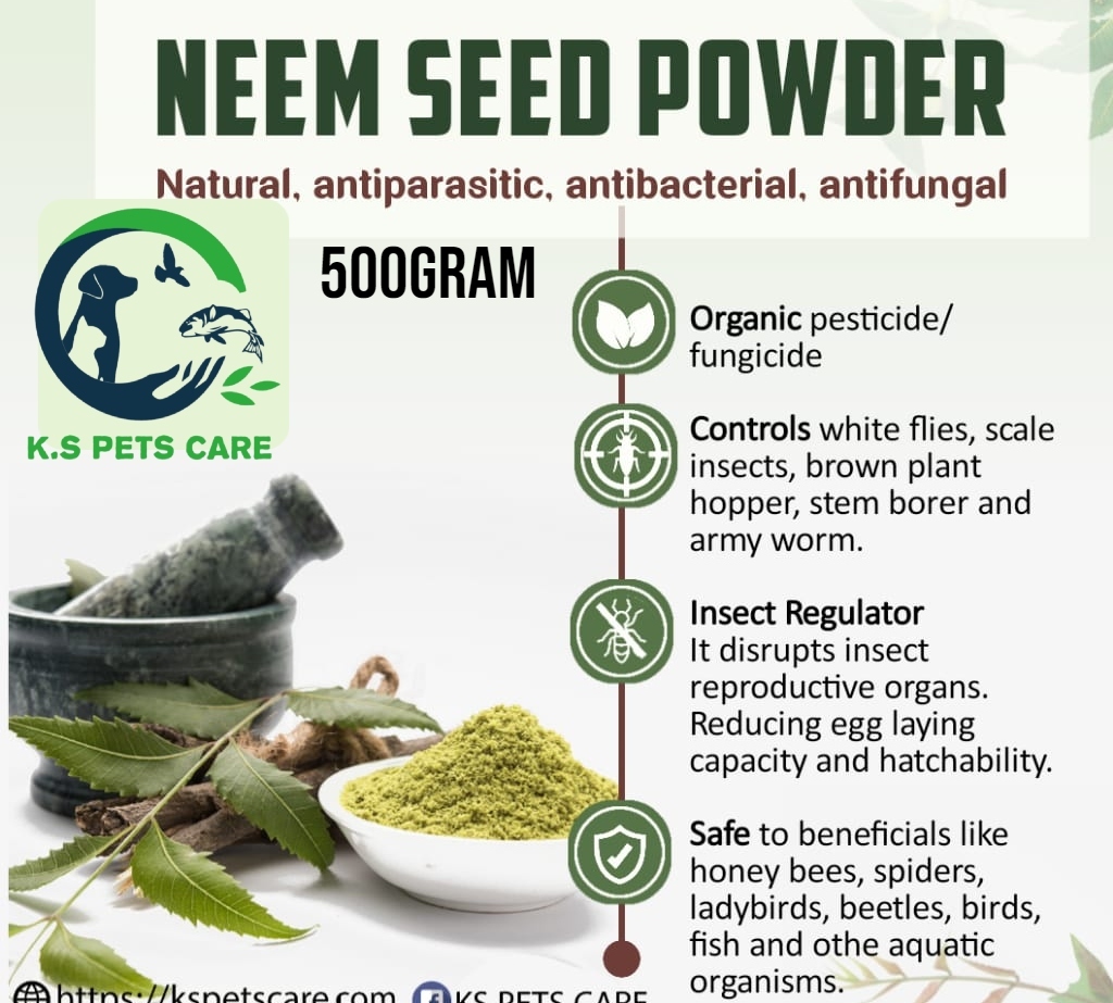 Neem Leaf Powder / Neem Seed Powder Natural 500GRAM | Daraz.pk