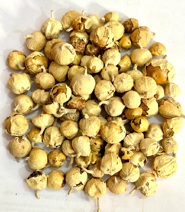 Paneer Booti - Paneer Dodi - 250 Grams | Daraz.pk