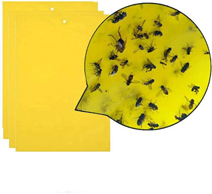 Yellow Sticky Traps, Dual-Sided, 8x6 Inch, with Twist Ties and Plastic ...