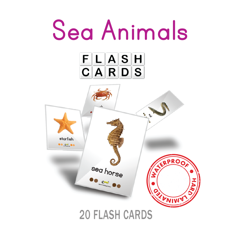SEA ANIMALS FLASH CARDS - 8015 | Daraz.pk