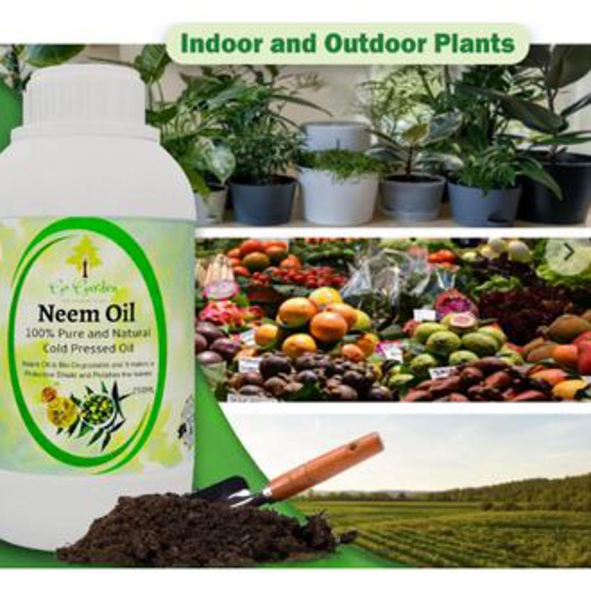 Neem Oil For Plants - Garden Insecticide 100ml Bottle - Good to treat ...